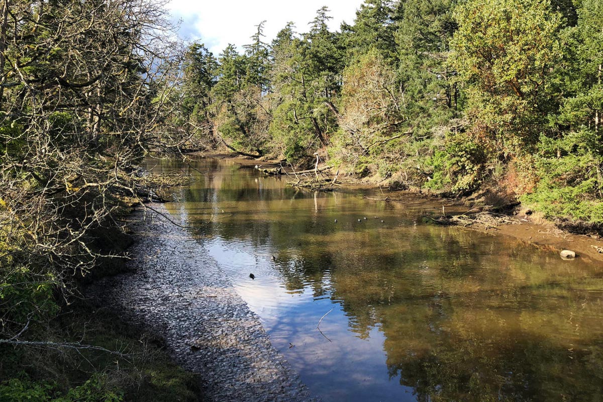 Breaking Water by Building with Rocks - Peninsula Streams Society