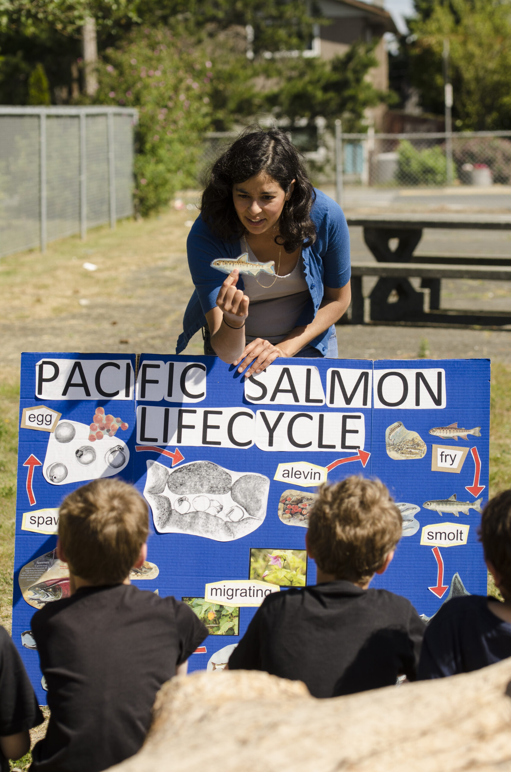 Grade 3 Education Program Update - Peninsula Streams Society