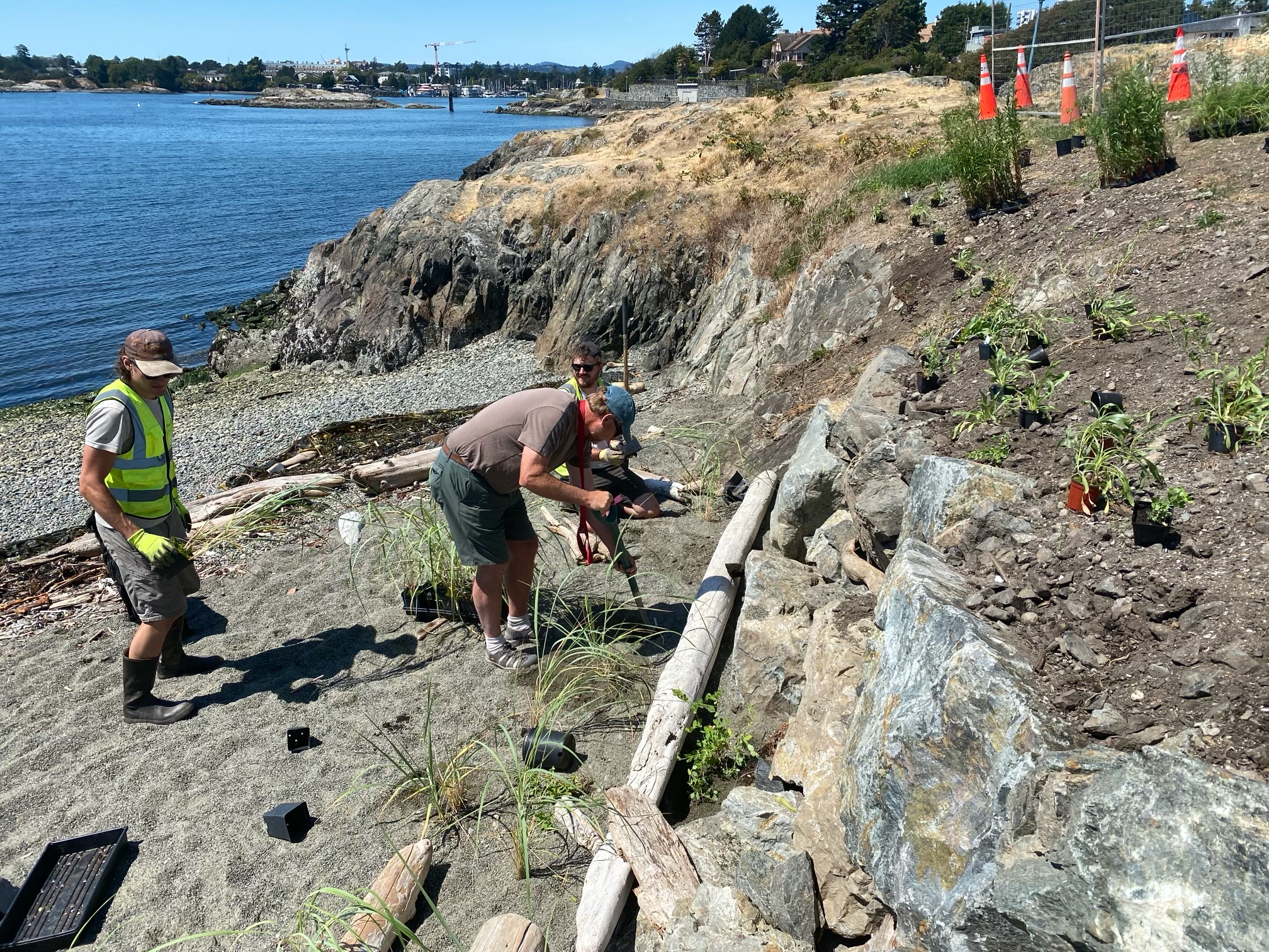 Songhees Walkway Pocket Beach Restoration - Peninsula Streams Society