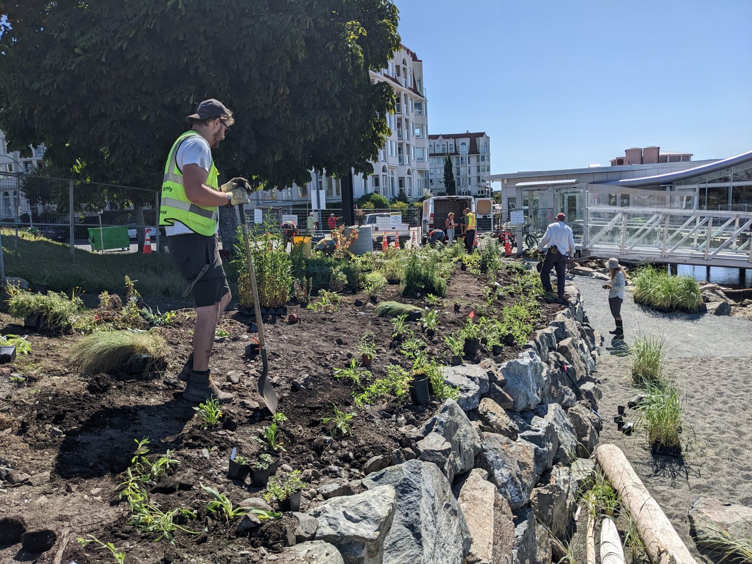 Songhees Walkway Pocket Beach Restoration - Peninsula Streams Society