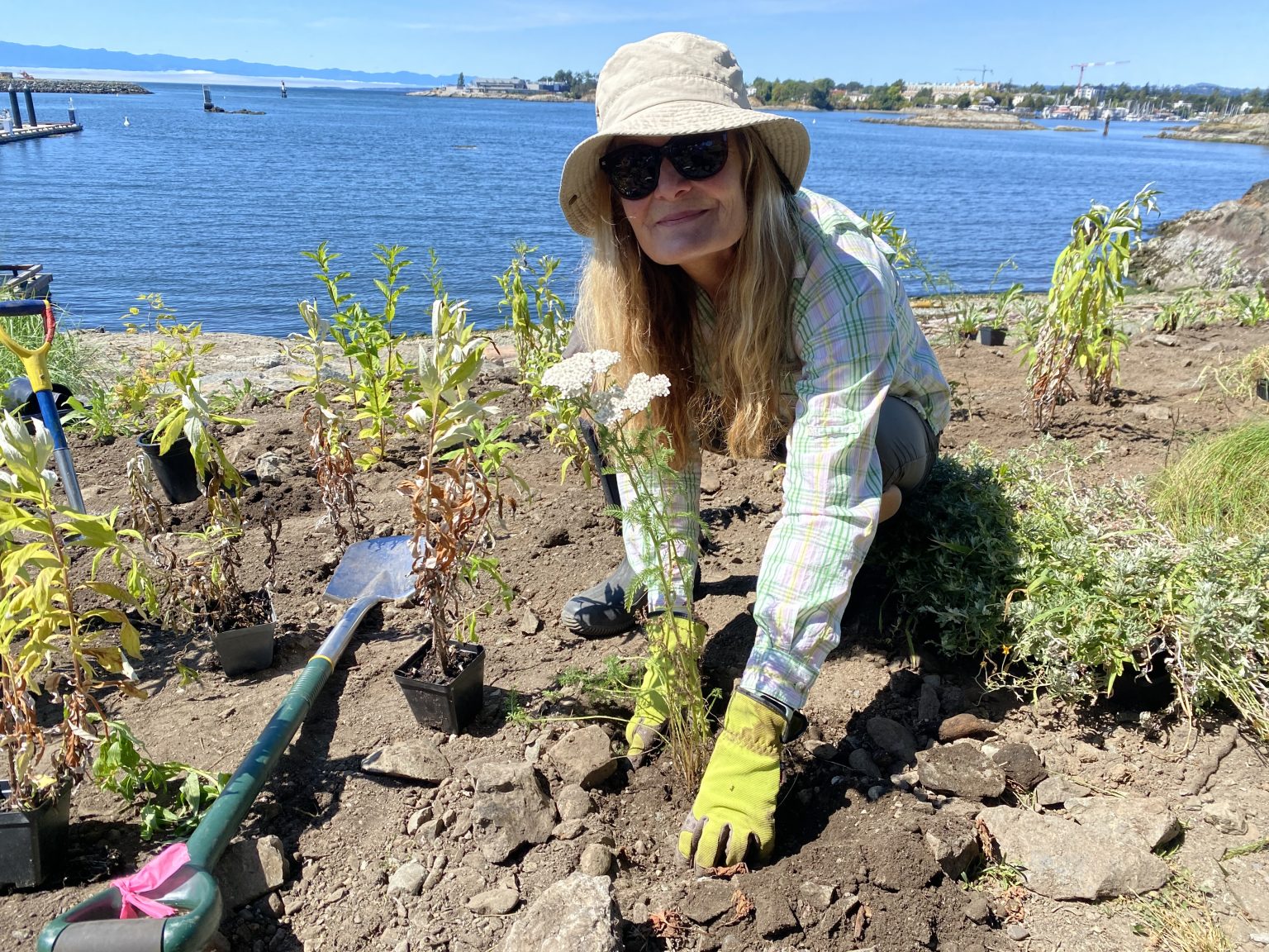 Songhees Walkway Pocket Beach Restoration - Peninsula Streams Society