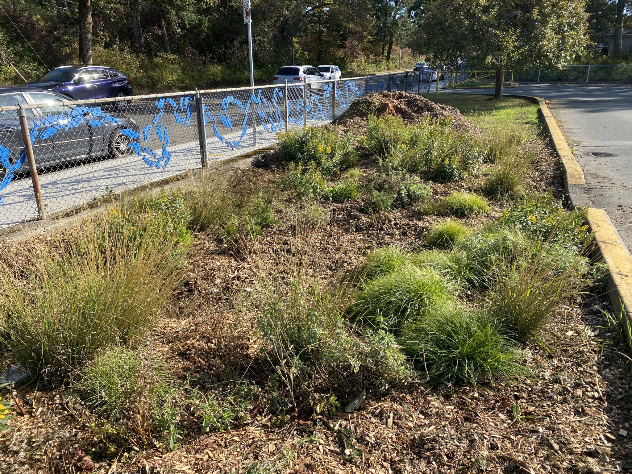 Rain Gardens for Headwaters Program - Peninsula Streams Society