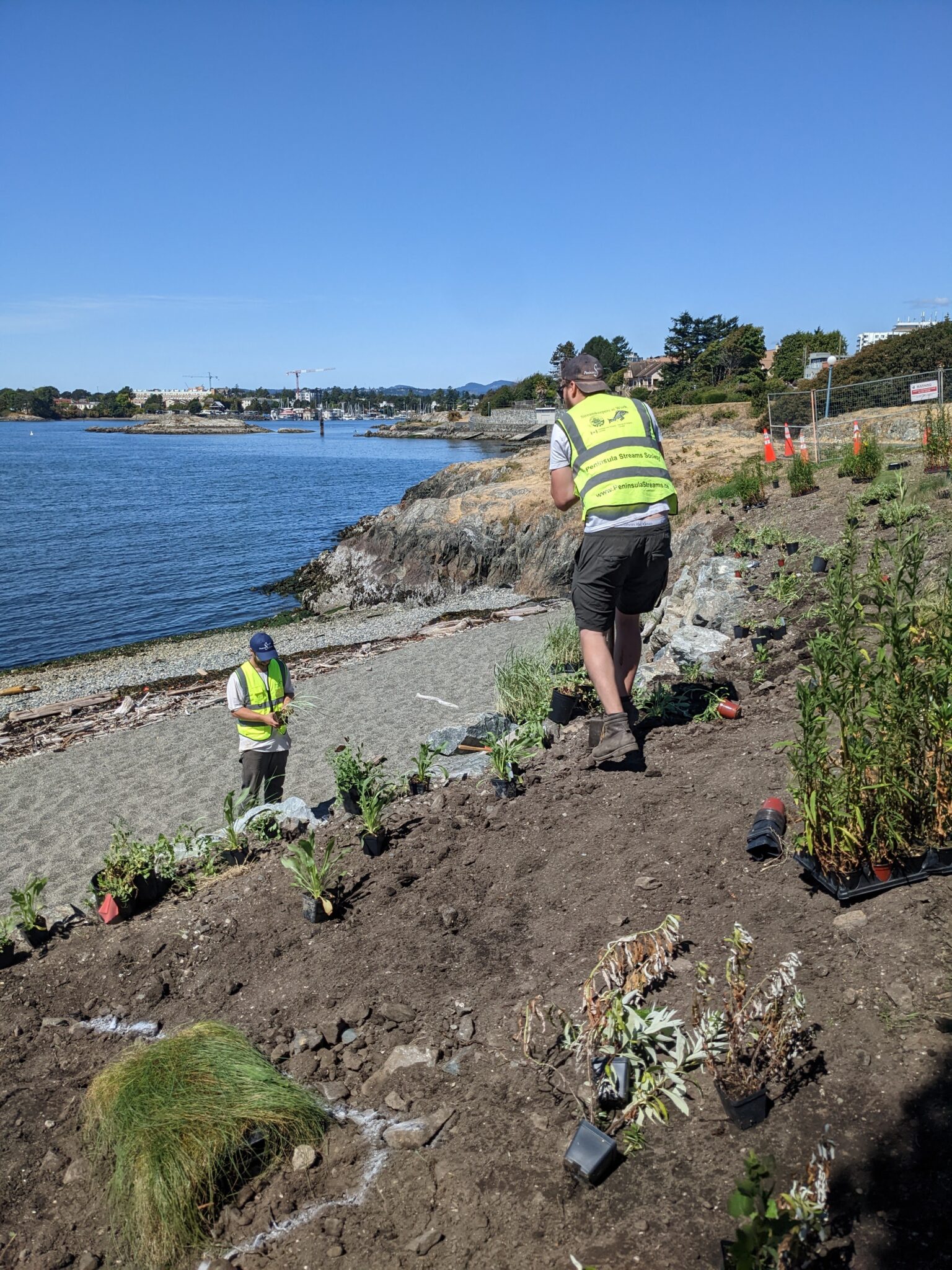 BEACH Program - Peninsula Streams Society