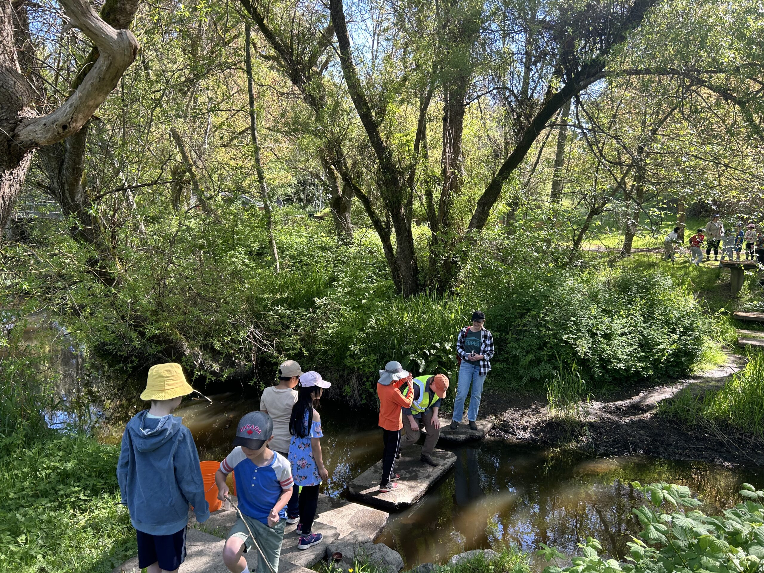 Streamside Education - Peninsula Streams Society