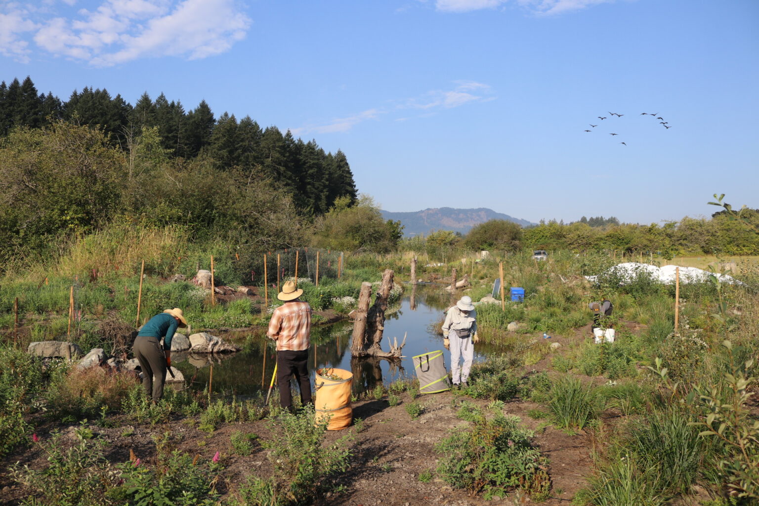 2025 Winter Staff Presentation - Peninsula Streams Society